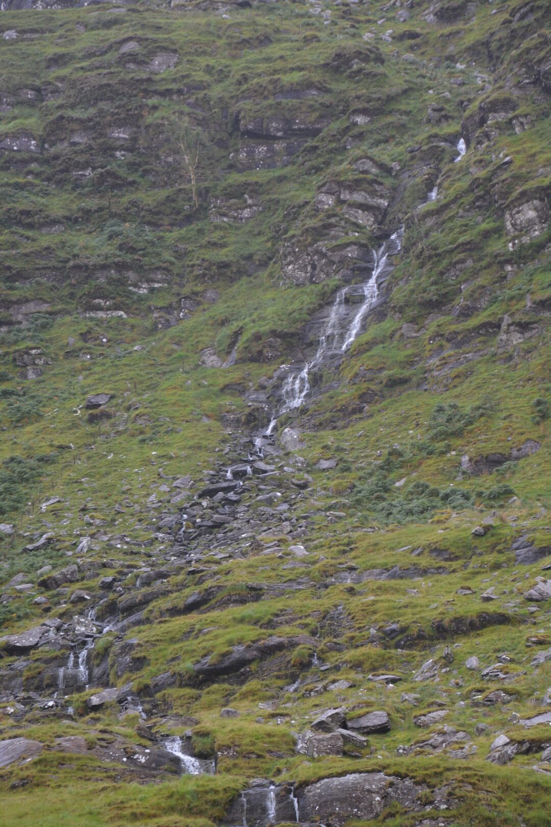 Day 22 – Kerry-go-Round | Chaos roaming the world