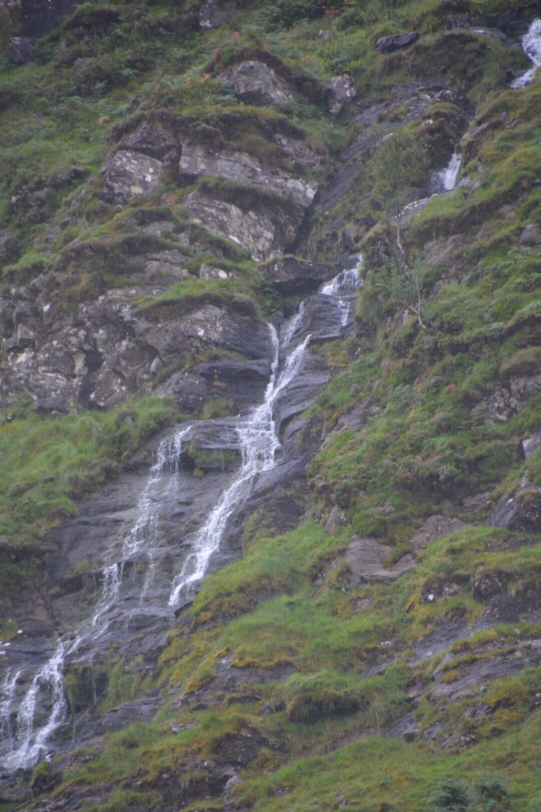 Day 22 – Kerry-go-Round | Chaos roaming the world