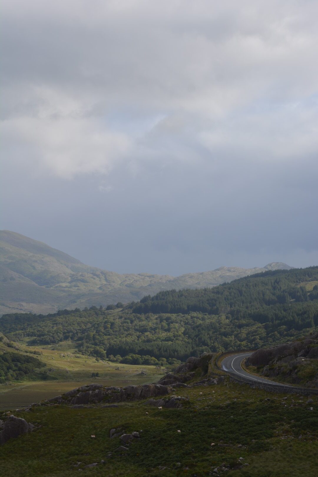 Day 22 – Kerry-go-Round | Chaos roaming the world